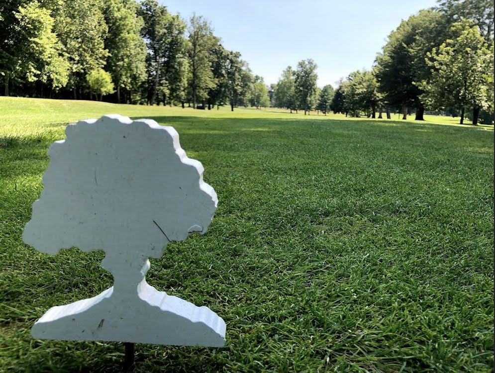 Pictures - Sycamore Springs Golf Course